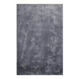 Teppich HOMIE LIVING, B:80cm H:20mm L:150cm, grau, Polyester, Wohnzimmer, Teppiche, "Sienna", Hochflor, Microfaser, uni, weich & kuschelig,