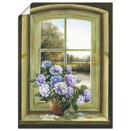 Wandbild Artland, B:30cm H:40cm, gr&uuml;n, Wohnzimmer, Bilder, "Hortensien am Fenster", als Alubild, Leinwandbild, Poster in verschied. Gr&ouml;&szlig;en
