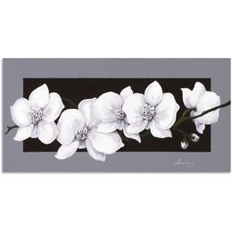 Wandbild Artland, B:150cm H:75cm, schwarz, Wohnzimmer, Bilder, "Wei&szlig;e Orchideen auf grau", als Alubild, Leinwandbild, Poster in verschied. Gr&ouml;&szlig;en