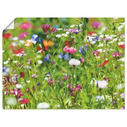 Wandbild Artland, B:120cm H:90cm, gr&uuml;n, Wohnzimmer, Bilder, "Blumenwiese I", als Leinwandbild, Poster in verschied. Gr&ouml;&szlig;en