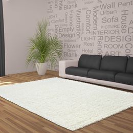 Hochflor-Teppich, B:60cm H:50mm L:110cm, beige, Ayyildiz Teppiche, Kunstfaser, Teppiche, "Dream Shaggy", Langflor, auch in rund, L&auml;ufer, Wohnzimmer
