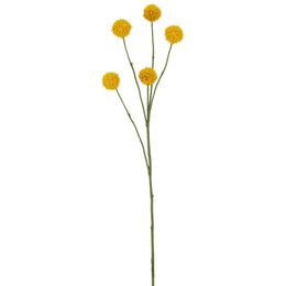 Gasper Kunstblume Craspediazweig