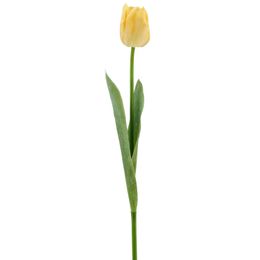 Gasper Kunstblume Tulpe