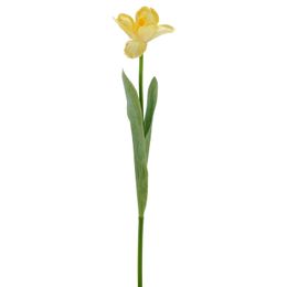 Gasper Kunstblume Tulpe