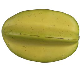Gasper Deko-Sternfrucht