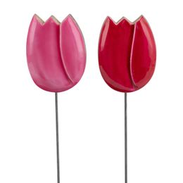 SONSTIGE Stecker TULPE