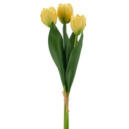 Gasper Kunstblume Tulpenbund