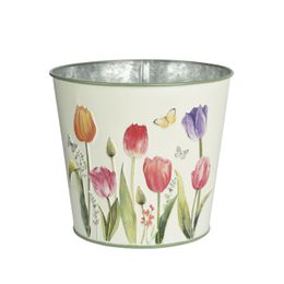 SONSTIGE &Uuml;bertopf TULPEN