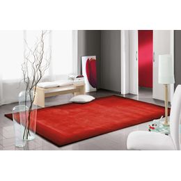 SONSTIGE Teppich TAMI rot