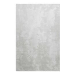 Teppich HOMIE LIVING, B:80cm H:20mm L:150cm, grau, Polyester, Wohnzimmer, Teppiche, "Sienna", Hochflor, Microfaser, uni, weich & kuschelig,