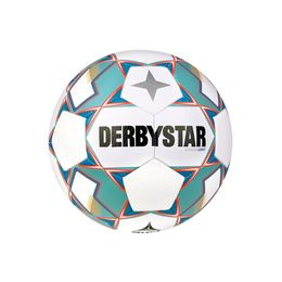 Derbystar Ball male Mixed colors size 5