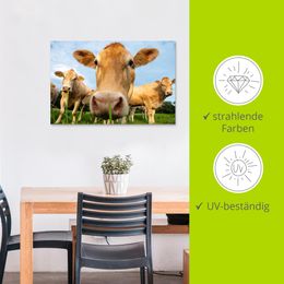 Wandbild Artland, B:60cm H:40cm, beige, Alu Dibond, Wohnzimmer, Bilder, "Neugier auf der Weide - Alpenk&uuml;he", als Alubild, Leinwandbild, Poster,