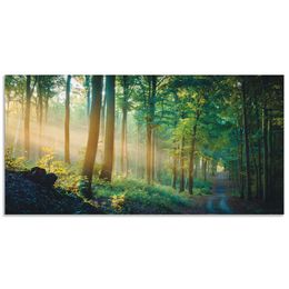 Wandbild Artland, B:100cm H:50cm, gr&uuml;n, Wohnzimmer, Bilder, "Herbstmorgen im Wald", f&uuml;r Innen- und Au&szlig;enbereich geeignet, Outdoorbild