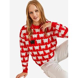 Bianco Lucci Pullover Damen Gr&ouml;&szlig;e S/L rot / wei&szlig;