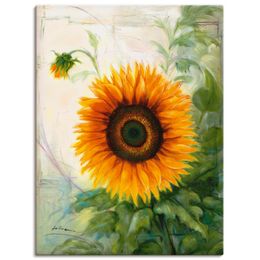 Leinwandbild Artland, B:60cm H:80cm, gelb, Leinwand, Wohnzimmer, Bilder, "Sonnenblume", auf Holzrahmen gespannt