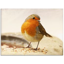 Glasbild Artland, B:60cm H:45cm, braun, K&uuml;che, Bilder, "Rotkehlchen", in verschiedenen Gr&ouml;&szlig;en