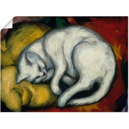 Wandbild Artland, B:40cm H:30cm, wei&szlig;, Wohnzimmer, Bilder, "Die weisse Katze. 1912", als Leinwandbild, Poster in verschied. Gr&ouml;&szlig;en