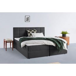 Boxbett Home Affaire, B:194cm L:210cm, grau, Komplettbetten, "Carde", wahlweise mit Bettkasten, in H2, H3 & H4 erh&auml;ltlich