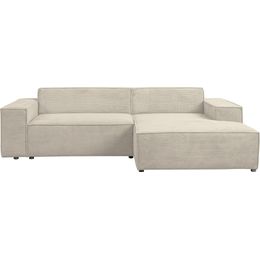 Ecksofa WERK2, B:268cm H:70cm T:163cmnatur, 90% Polyester, 10% Nylon, Wohnzimmer, Sofas, "Trento 268 x 163 cm modern und bequem", Cord, L-Form, extra