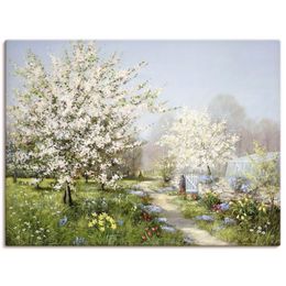 Wandbild Artland, B:120cm H:90cm, gr&uuml;n, Leinwand, Wohnzimmer, Bilder, "Fr&uuml;hlingsbl&uuml;ten", als Leinwandbild, Poster in verschied. Gr&ouml;&szlig;en