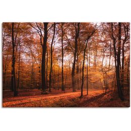 Leinwandbild Artland, B:90cm H:60cm, braun, Wohnzimmer, Bilder, "Sonnenaufgang im Herbst II", auf Holzrahmen gespannt