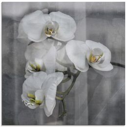 Glasbild Artland, B:50cm H:50cm, schwarz, K&uuml;che, Bilder, "Weisse Orchideen - white Orchid", in verschiedenen Gr&ouml;&szlig;en