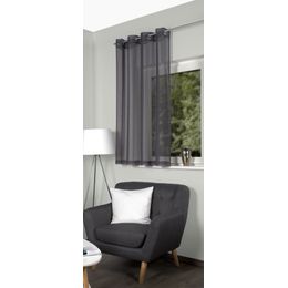 Vorhang HOME BASICS, B:140cm H:175cm, grau, Voile, Polyester, Wohnzimmer, Gardinen, "DOLLY", &Ouml;senschal DOLLY