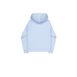 Herren Hoodie "DTM Alpha Hoodie", blau, Gr. M, Alpha Industries, Obermaterial: 80% Baumwolle, 20% Polyester, Sweatshirts