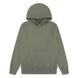 LEVI'S KIDS Jungen Hoodie "LVB MINI BATWING PULL OVER HOO", gr&uuml;n, Gr. 5, Sweatware, Obermaterial: 60% Baumwolle, 40% Polyester, Sweatshirts, for BOYS