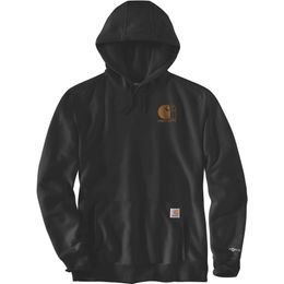 Carhartt Force Logo Graphic, Kapuzenpullover