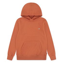 LEVI'S KIDS Jungen Hoodie "LVB MINI BATWING PULL OVER HOO", orange, Gr. 8, Sweatware, Obermaterial: 60% Baumwolle, 40% Polyester, Sweatshirts, for