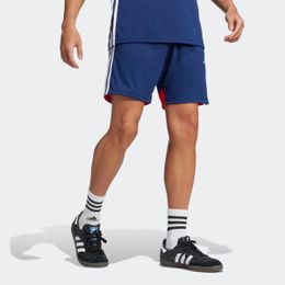 Herren Trainingsshorts "TIRO ES SHO", blau, Gr. S, adidas Performance, Obermaterial: 100% Polyester, Hosen, f&uuml;r Erwachsene, mit Kordelverschluss,