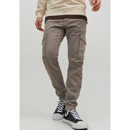 Jack & Jones JACK & JONES Herren Cargohose "PAUL FLAKE", grau, Gr. 29, unifarben, Web, Obermaterial: 98% Baumwolle, 2% Elasthan, Hosen, Baumwollmischung, regular
