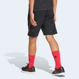 Jungen Shorts "ADIDAS JUNGEN FRENCH TERRY SLOGAN KINDER"schwarz, pure ruby,, Gr. 152, adidas Sportswear, Obermaterial: 52% Baumwolle, 48% Polyester,