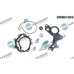 DR.MOTOR AUTOMOTIVE Reparatursatz, Unterdruckpumpe (Bremsanlage) DRM0190S f&uuml;r SKODA VW SEAT AUDI FORD 1477045 038145209M 1426038
