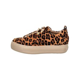 Paul Green Damen Sneaker "Paul Green Sneaker Veloursleder", Gr. 37,5leopard, Veloursleder, Schuhe