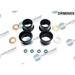 DR.MOTOR AUTOMOTIVE Dichtungssatz, Einspritzd&uuml;se DRM066S f&uuml;r FORD 1318562