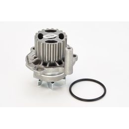 CONTINENTAL CTAM Wasserpumpe WP6006 mit Dichtung f&uuml;r MITSUBISHI SKODA VW SEAT AUDI MN980134 MN980266 038121011K