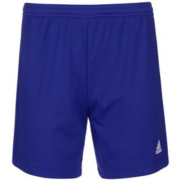 adidas Performance Workout Pants 'Entrada 22' female Blue size XS