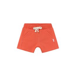 Noppies Shorts Gr&ouml;&szlig;e 80 orange