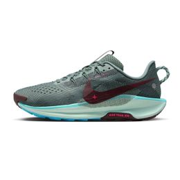 Nike Pegasus Trail 5 Herren