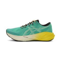 asics Novablast 5 TR Herren