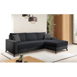 Ecksofa exxpo - SOFA FASHION "Quattro schlicht & zeitlos, bequem, L-Form, B/T: 247/162 cm", blau (night), B:247cm H:85cm T:162cm, Sofas, Ecksofa, mit Bettfunktion & Bettkasten. Korpus Microfaser, Sitz Webvelours