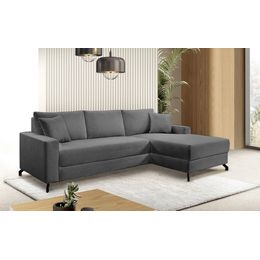 Ecksofa exxpo - SOFA FASHION "Quattro schlicht & zeitlos, bequem, L-Form, B/T: 247/162 cm", grau (anthrazit), B:247cm H:85cm T:162cm, Sofas, Ecksofa, mit Bettfunktion & Bettkasten. Bezug komplett Webvelours