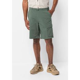 Shorts Jack Wolfskin "WANDERTHIRST SHORTS M", Herren, Gr. 54, Normalgr&ouml;&szlig;en, gr&uuml;n (hedge, gr&uuml;n), OBERSTOFF: 94% POLYAMID, 6% ELASTHAN. Futter: 100% POLYESTER, Hosen Shorts