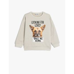 KOTON Sweatshirt Jungen Gr&ouml;&szlig;e 134/140 pueblo / grau / schwarz / offwhite
