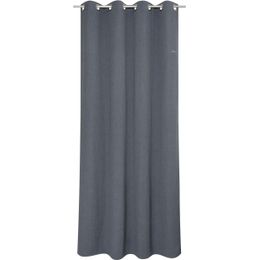 Vorhang Tom Tailor HOME "Dove Signature", grau (anthrazit), B:140cm H:250cm, Polyester, Gardinen, Vorhang, blickdicht