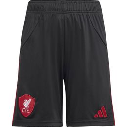 Adidas FC Liverpool 25-26 ausw&auml;rts Fu&szlig;ballshorts Kinder - Gr&ouml;&szlig;e 152 - schwarz