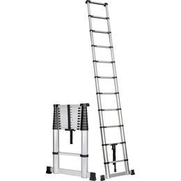 Berger Telescopix Soft Close Teleskopleiter 3,2 Meter silber - Leitern