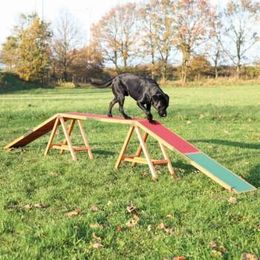 Trixie Fun Agility Steg